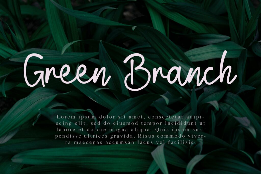 Blind Matte - Script Font – MasterBundles