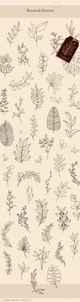 Botanical Elements for Logo Design – MasterBundles