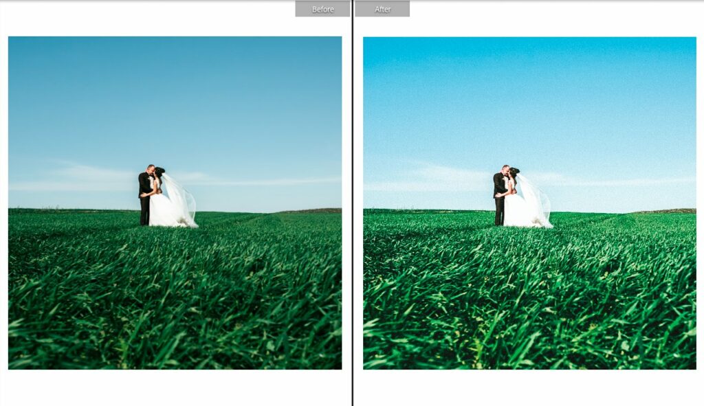 Signature Bright & Airy LR Preset – MasterBundles