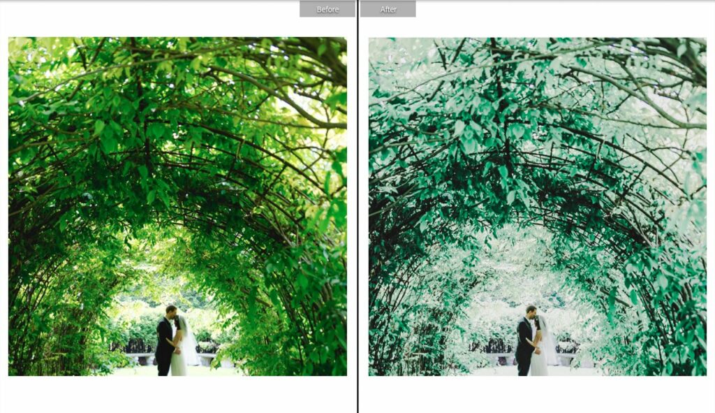 Signature Bright & Airy LR Preset – MasterBundles