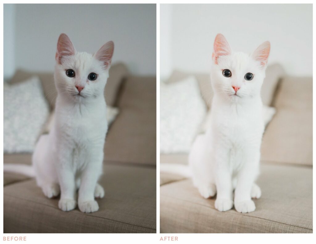 Bright Lightroom Presets – MasterBundles