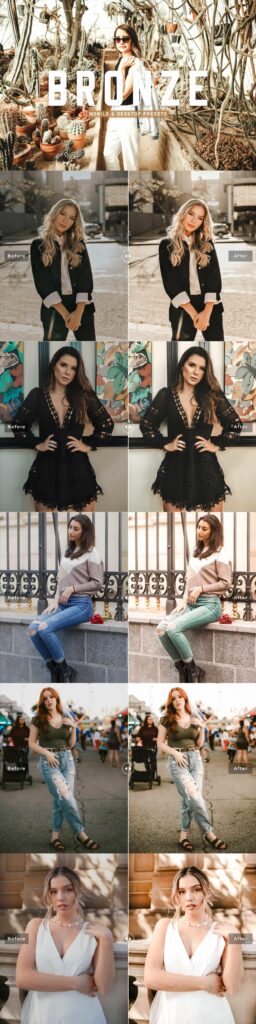 Bronze Pro Lightroom Presets – MasterBundles