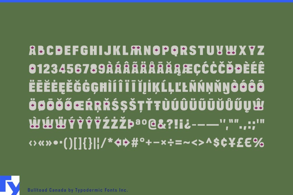 Bulltoad – MasterBundles