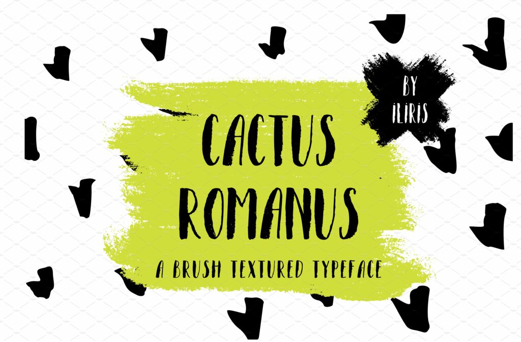 Cactus Romanus Brush Casual Typeface – MasterBundles