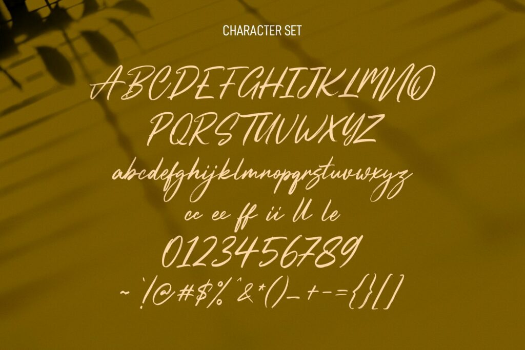 Canthonys Brush Script Font – MasterBundles