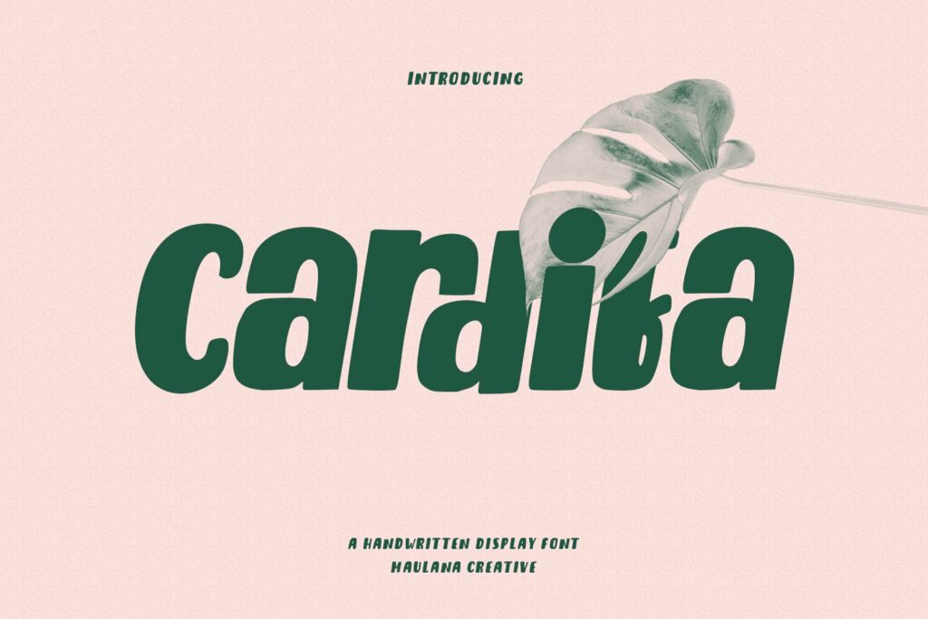 Cardifa Handwritten Display Font – MasterBundles