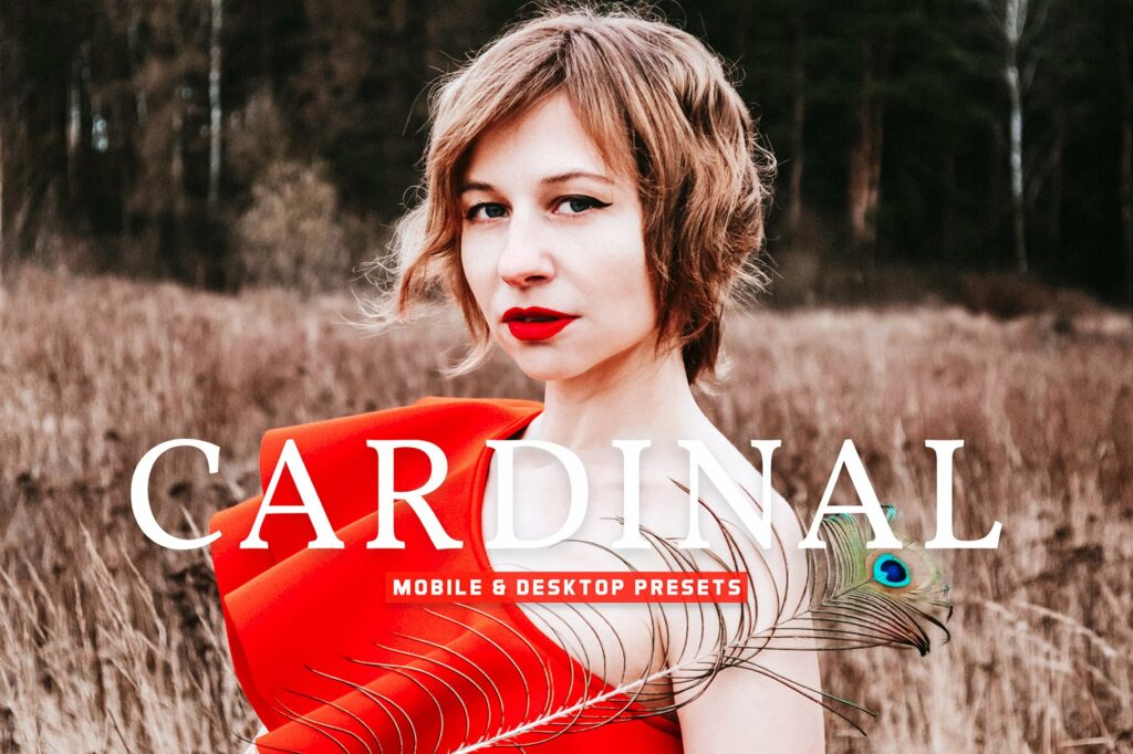 Cardinal Pro Lightroom Presets – MasterBundles