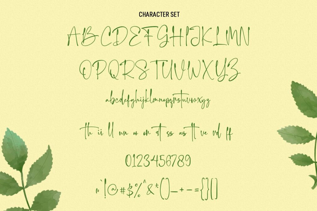 Cartens West Script Font – MasterBundles