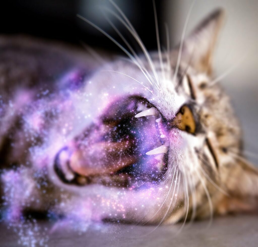 Magic Dust Photoshop Action – MasterBundles