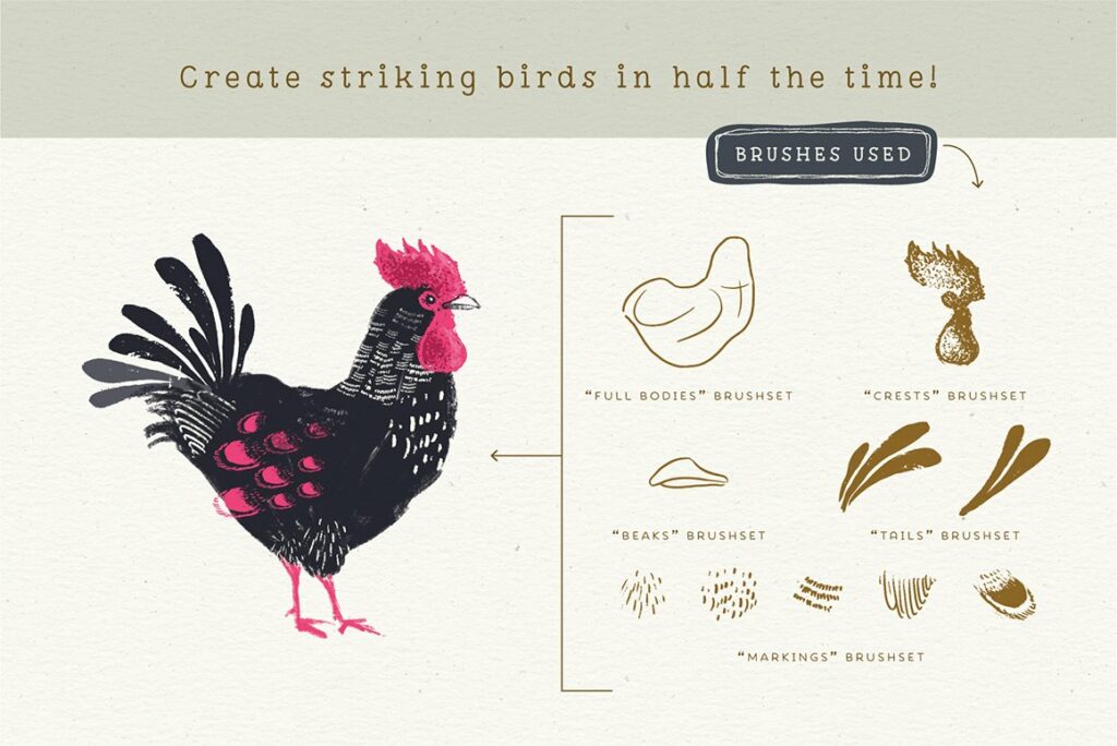 Procreate Bird Drawing Toolkit – MasterBundles