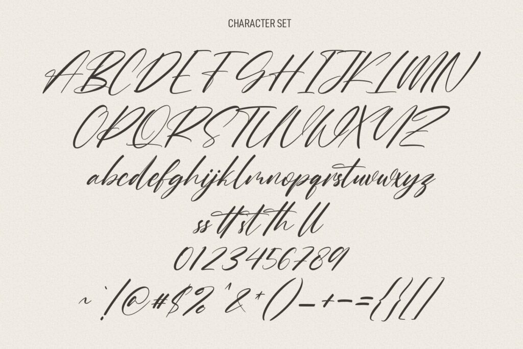 Charlotte Matthew Signature Script – MasterBundles