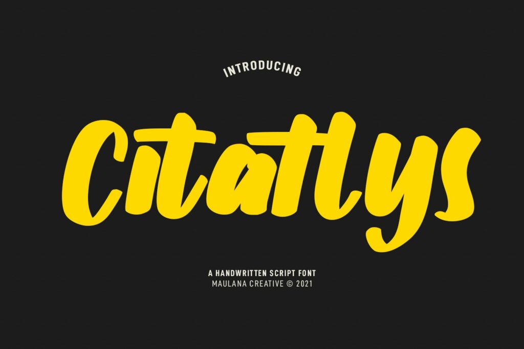 Citatlys Handwritten Script Font – MasterBundles