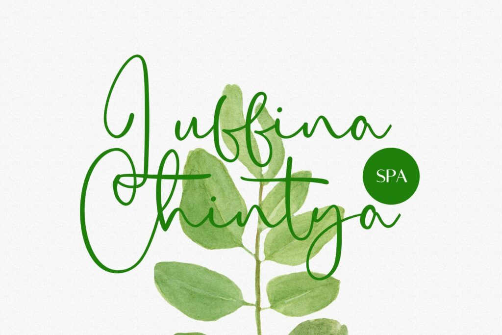 Citrus Cycle Script Font – MasterBundles