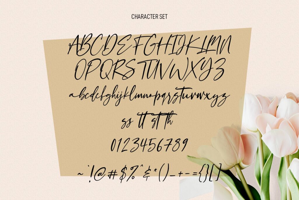 Claudio Wings Feminine Signature – MasterBundles
