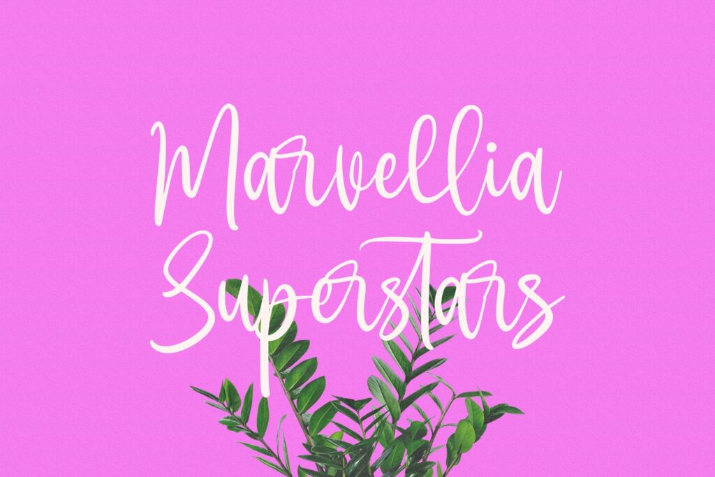 Cleverest Script Font – MasterBundles