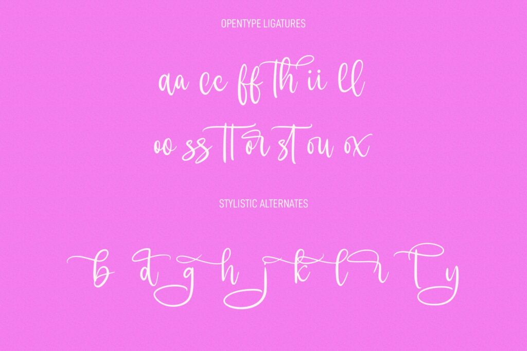 Cleverest Script Font – MasterBundles