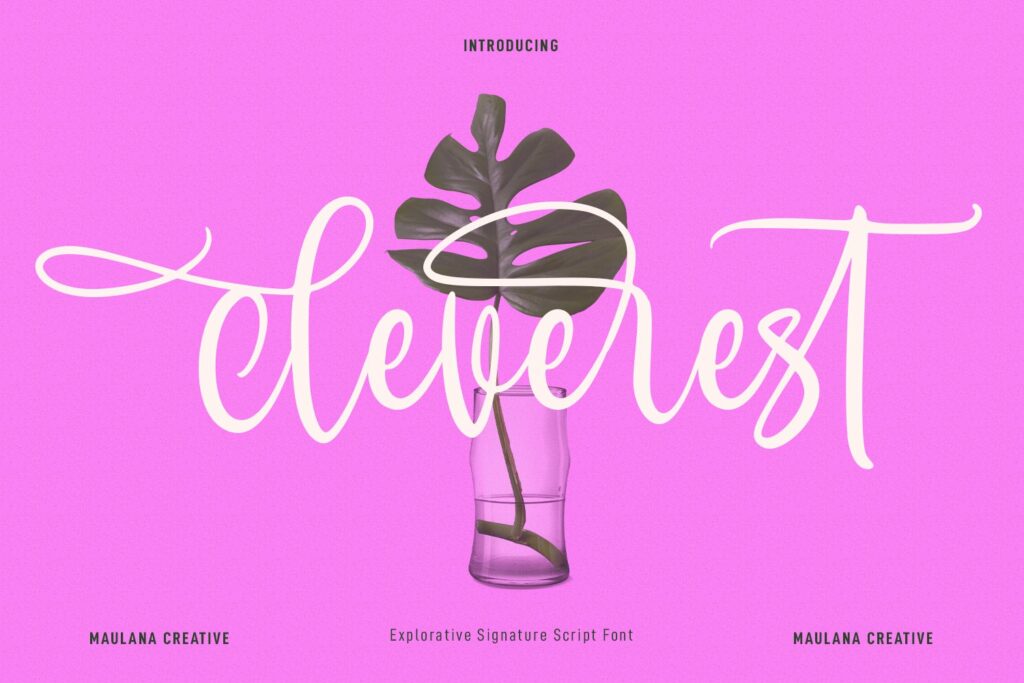 Cleverest Script Font – MasterBundles