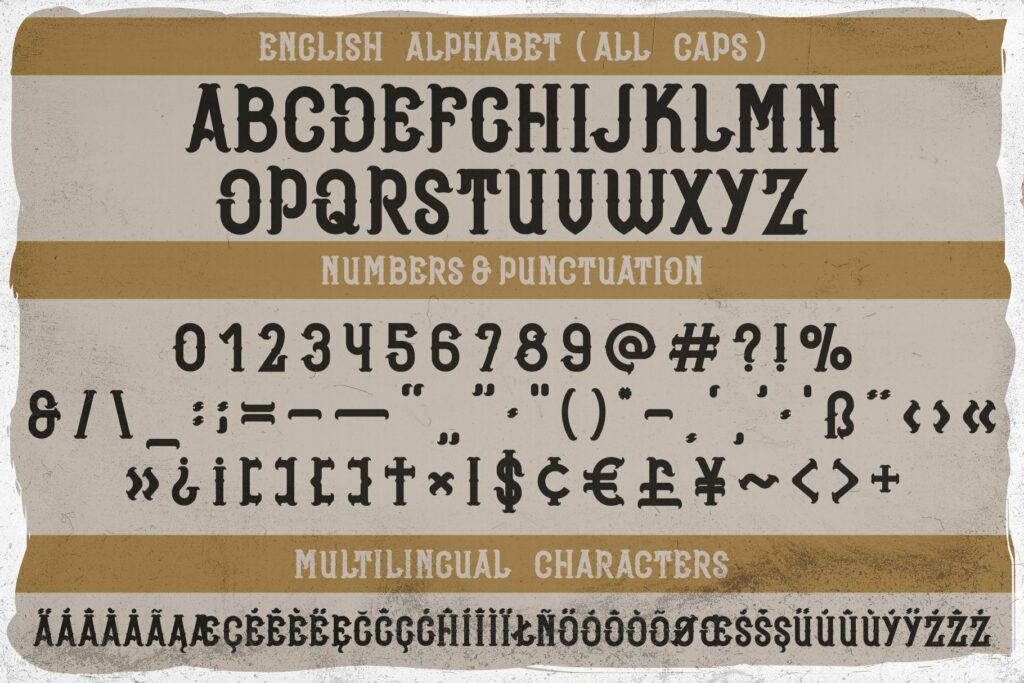 Double stout + 5 t-shirt designs – MasterBundles