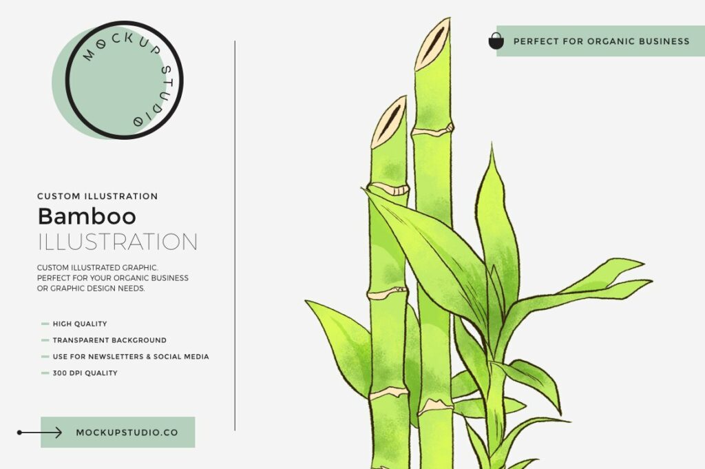 Bamboo Custom Illustration – MasterBundles