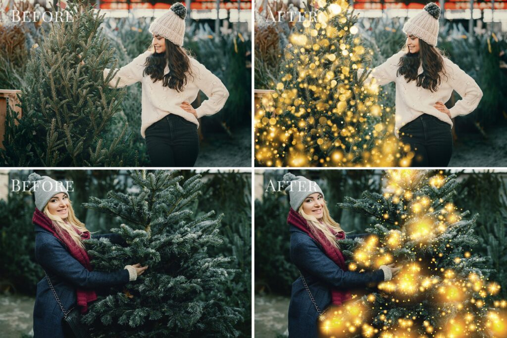 Christmas Trees photo overlays – MasterBundles