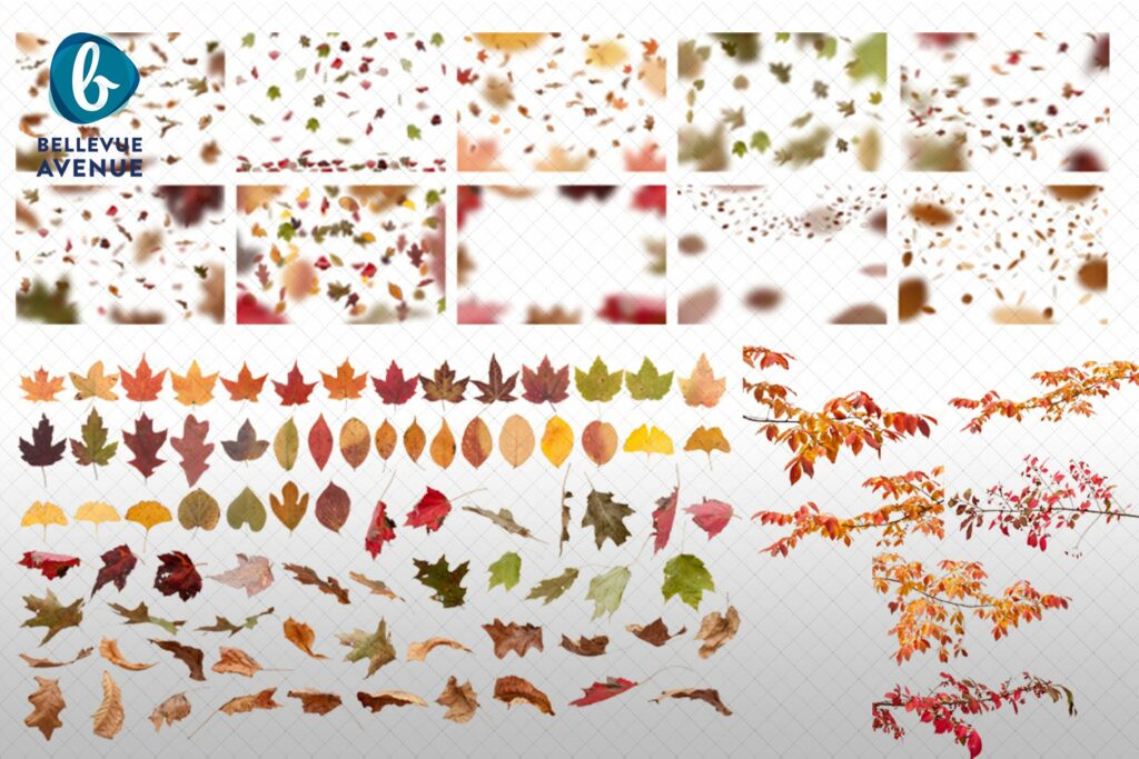 Leaf & Branch Overlays (Real) – MasterBundles