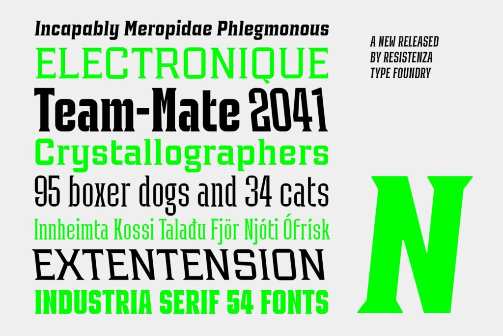 Industria Serif 54 Font Family – MasterBundles