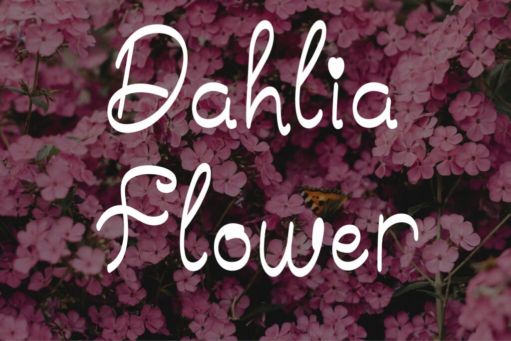 Dancing Calligraphy Font – MasterBundles