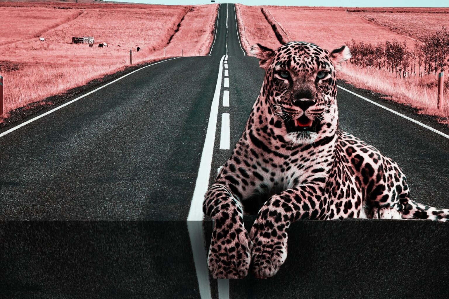 Perspective Bending Effect – MasterBundles