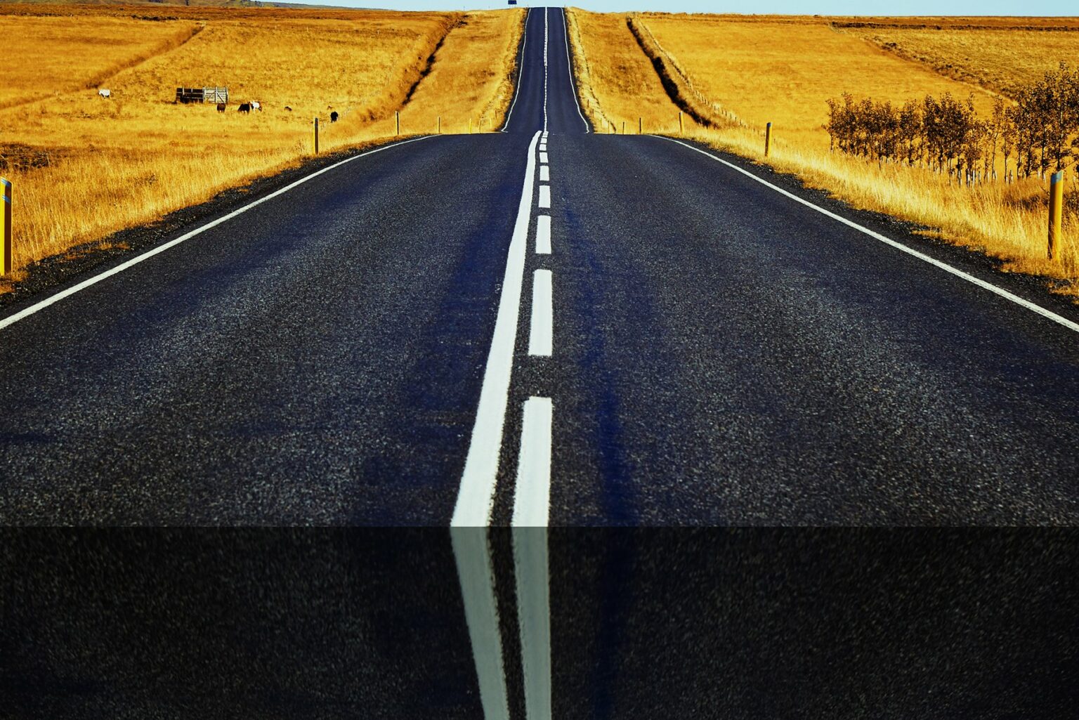 Perspective Bending Effect – MasterBundles