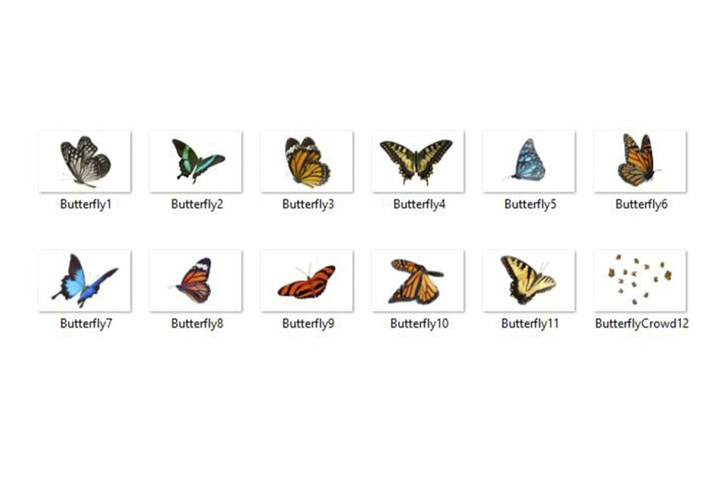 Butterfly Overlays, PNGs – MasterBundles