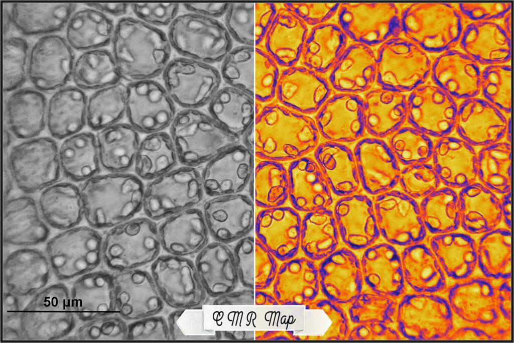 Science Visualization LUTs Vol. 3 – MasterBundles