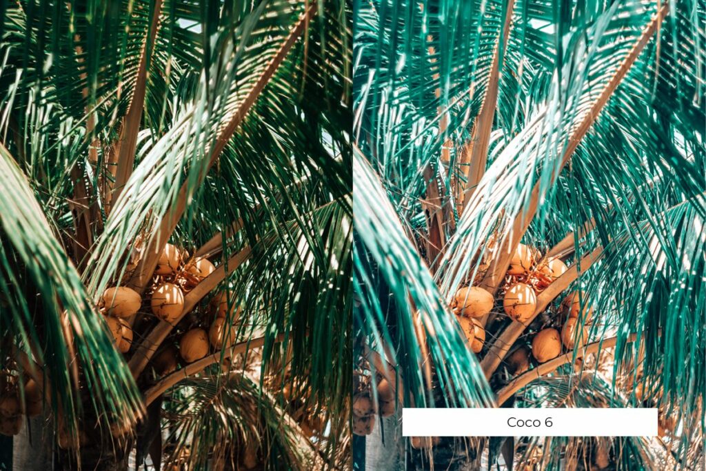 COCO Lightroom Presets – MasterBundles