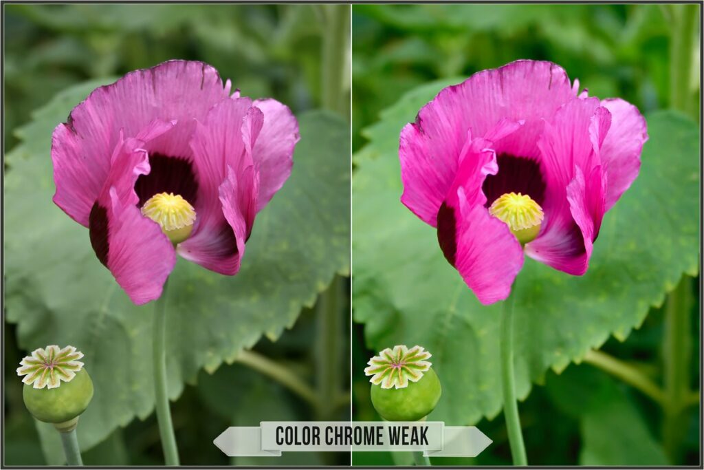 Fuji Film Simulation Modes Profiles – MasterBundles