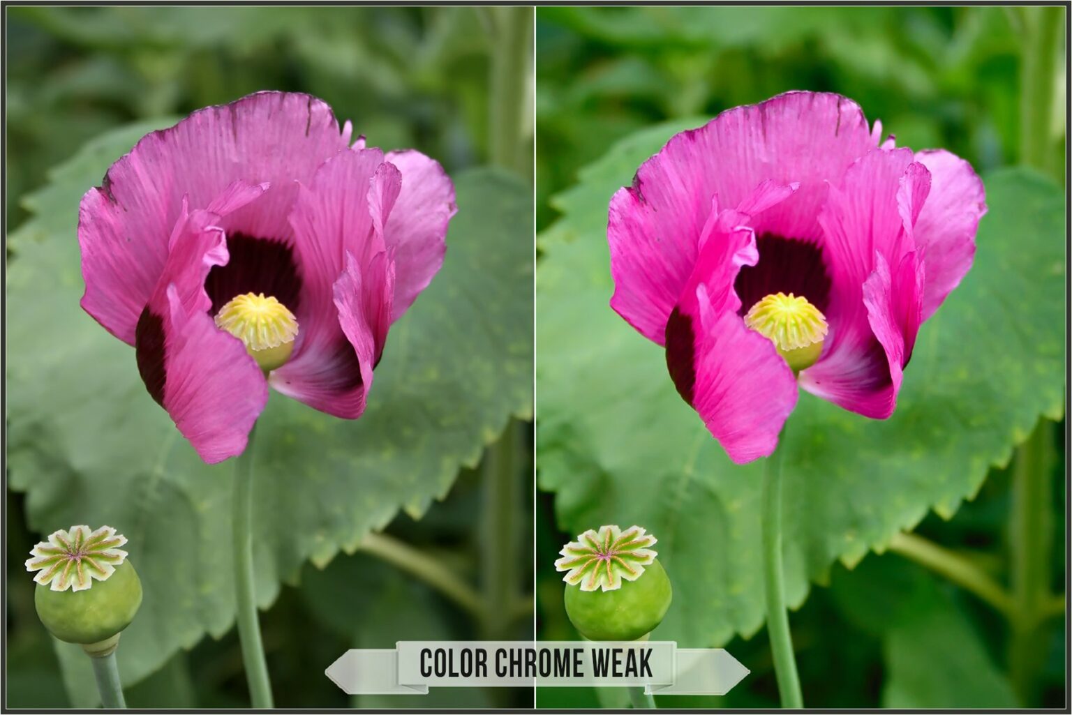 Fuji Film Simulation Modes Profiles – MasterBundles