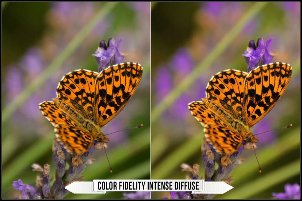 Perceived Color Fidelity profiles – MasterBundles
