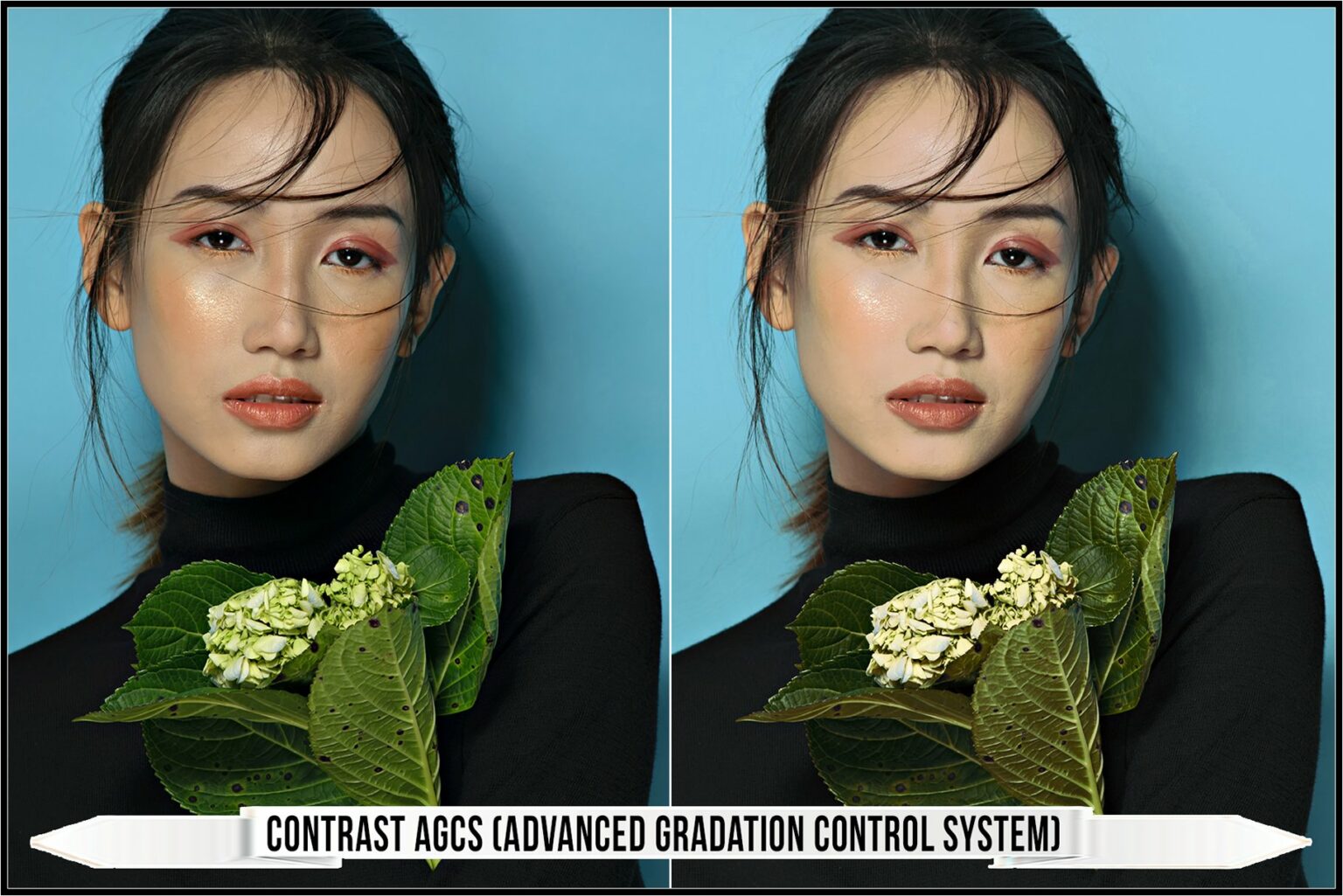 Sony Picture Effects Profiles – MasterBundles