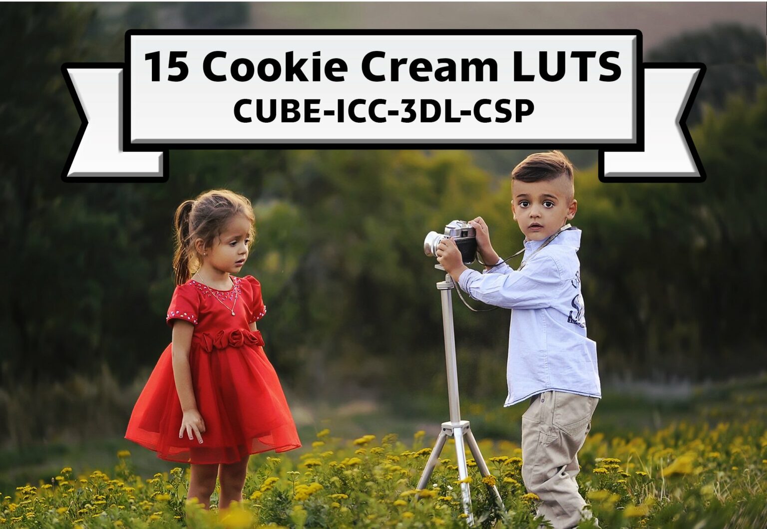 Cookie cream color lookup table set – MasterBundles