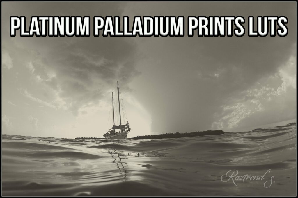 Platinum Palladium Prints LUTs – MasterBundles