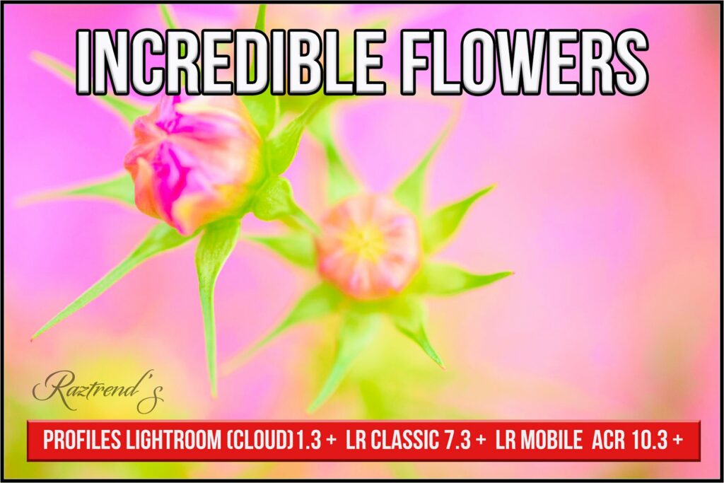 Incredible Flowers Profiles – MasterBundles