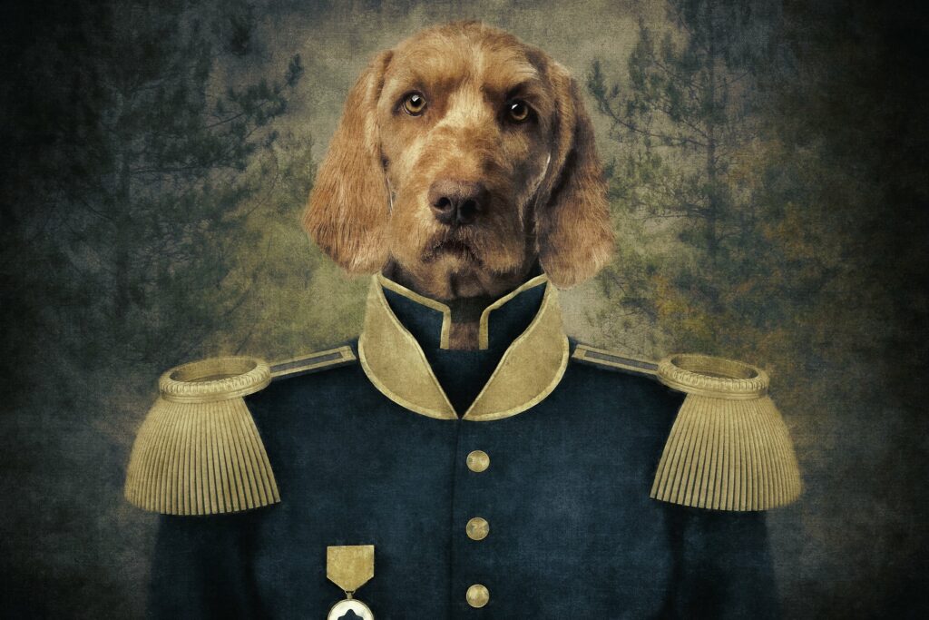 Dog General Photoshop Action – MasterBundles
