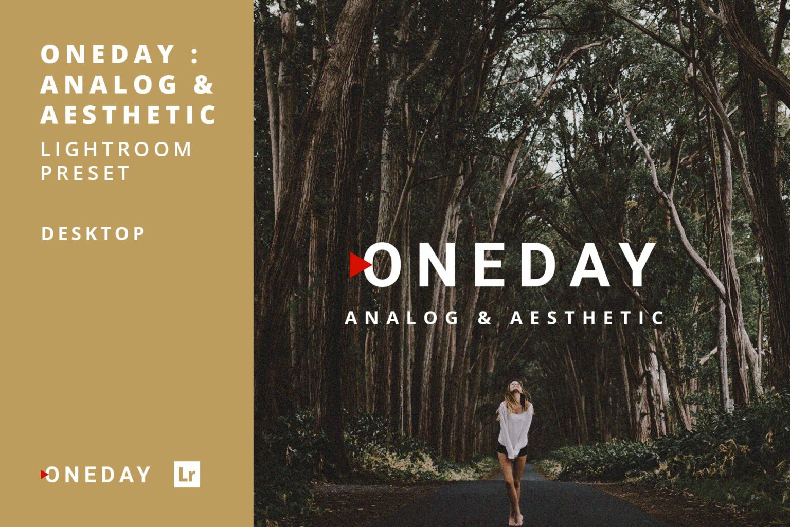 Oneday: Analog & Aesthetic Lr preset – MasterBundles