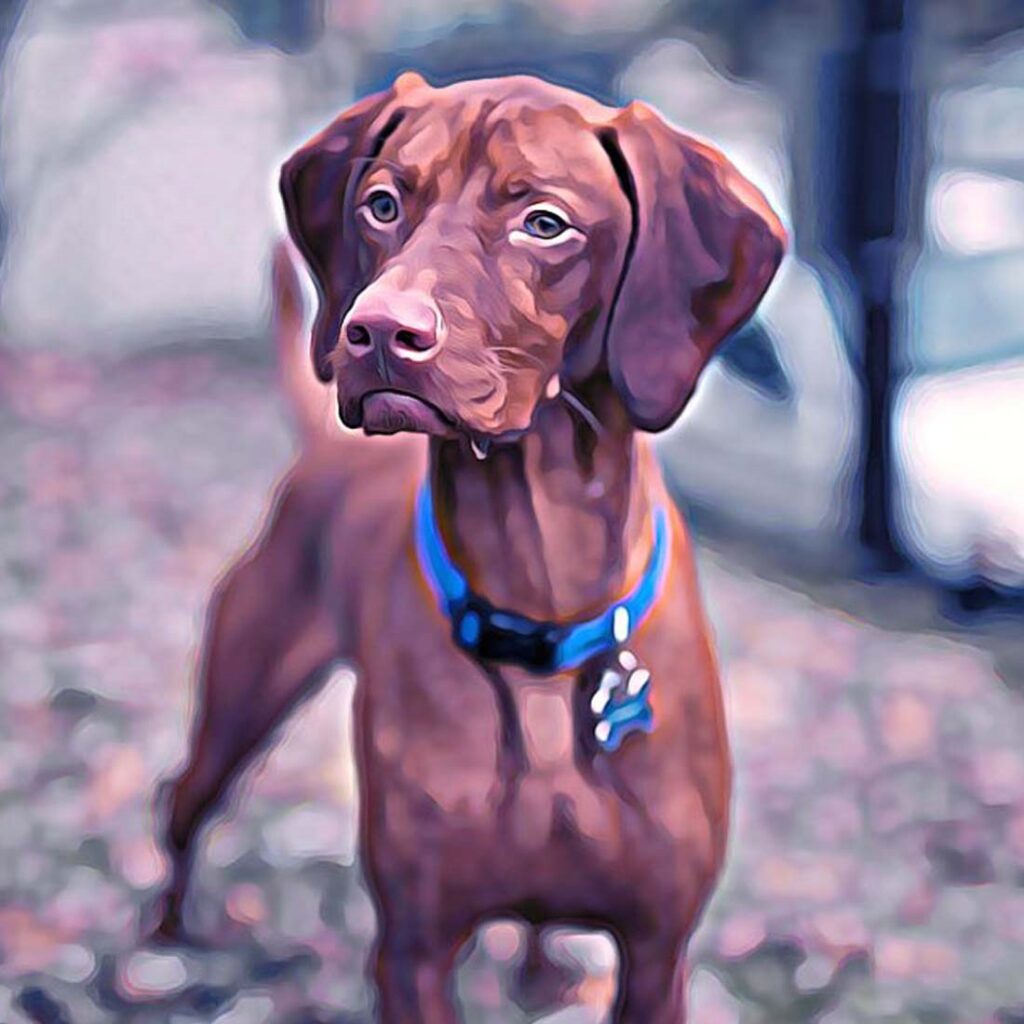 Smudge Painting Photo Effect - MasterBundles