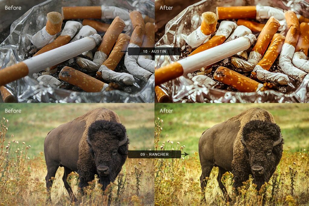 Creative Clarity Lightroom Presets – MasterBundles