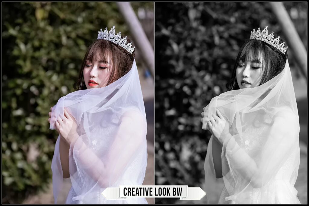 Sony Creative Styles & Looks – MasterBundles