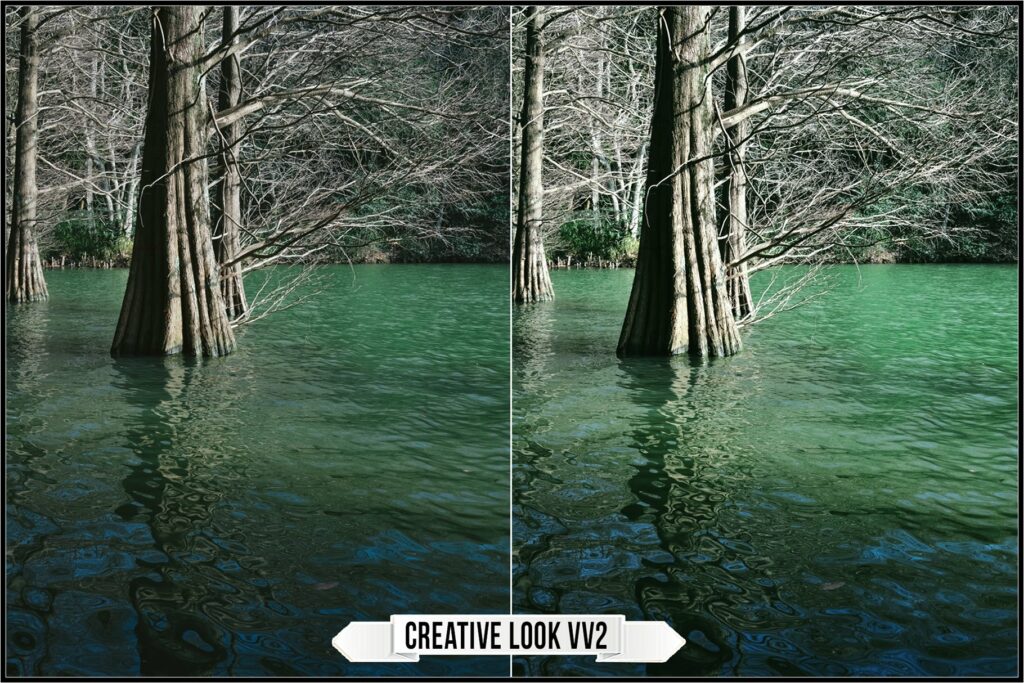 Sony Creative Styles & Looks – MasterBundles