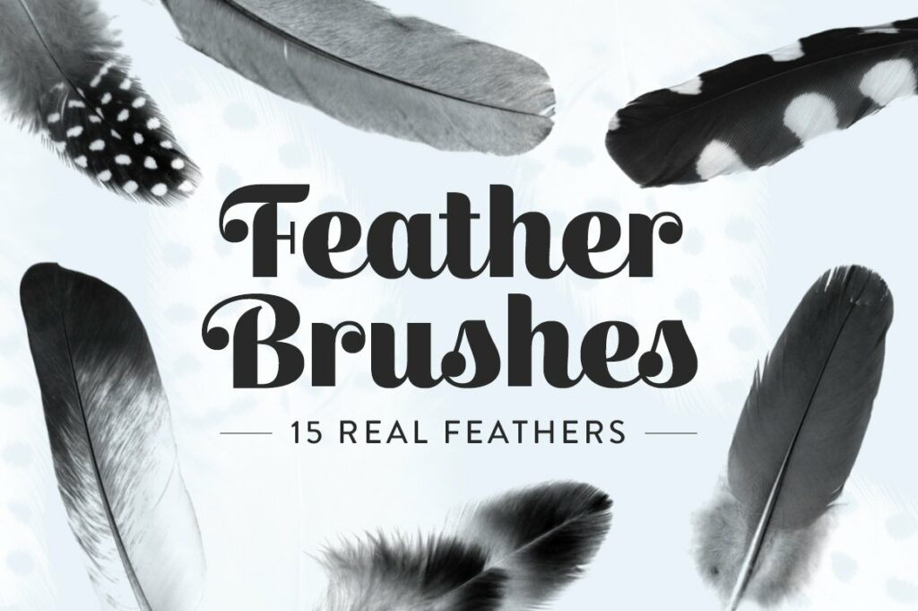 Feather Photoshop Brushes – MasterBundles