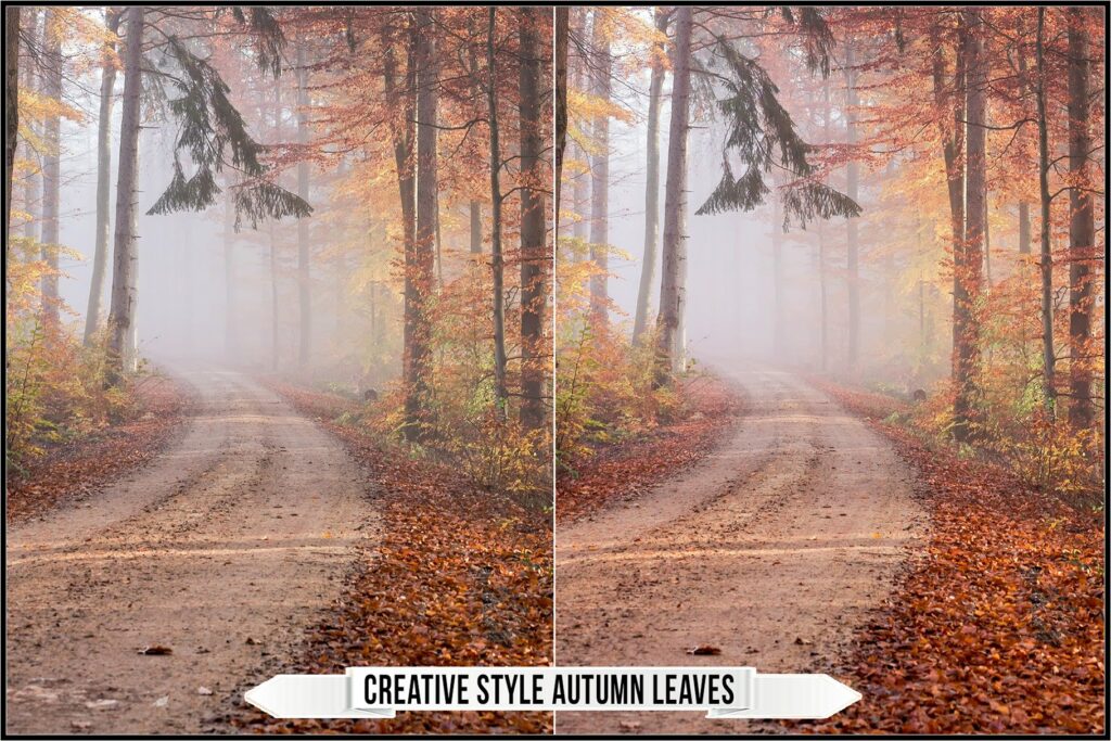 Sony Creative Styles & Looks – MasterBundles