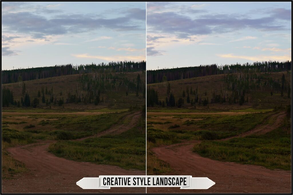 Sony Creative Styles & Looks – MasterBundles