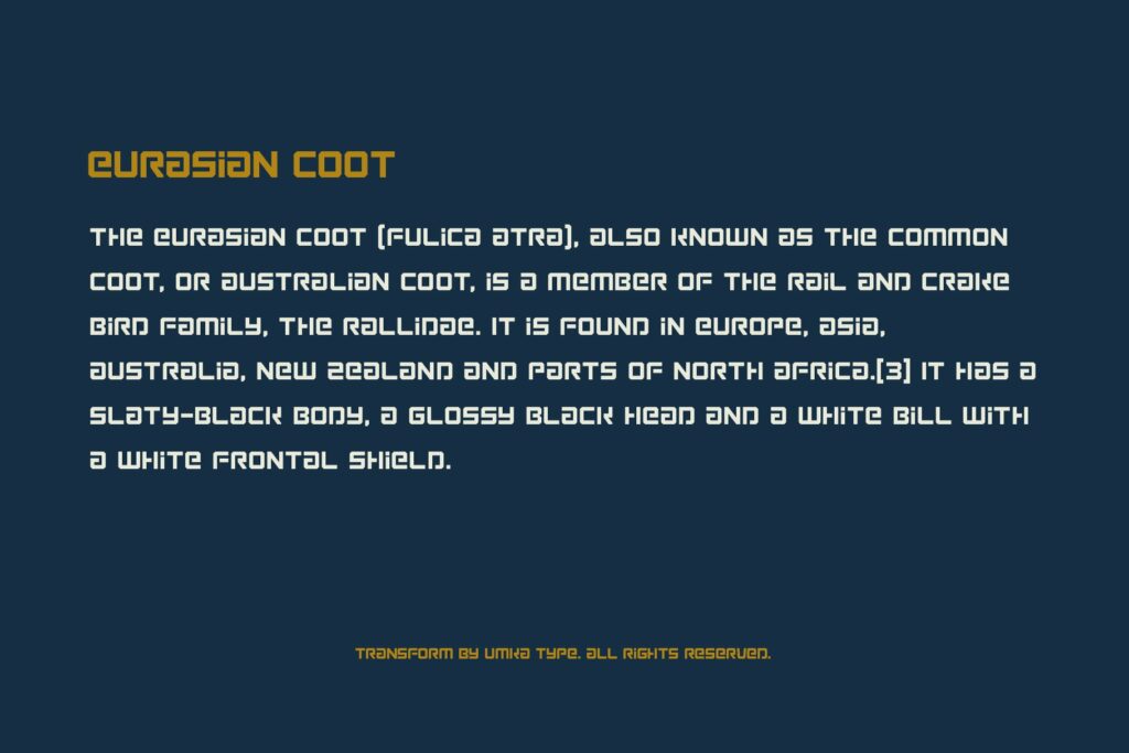 Transform Font – MasterBundles