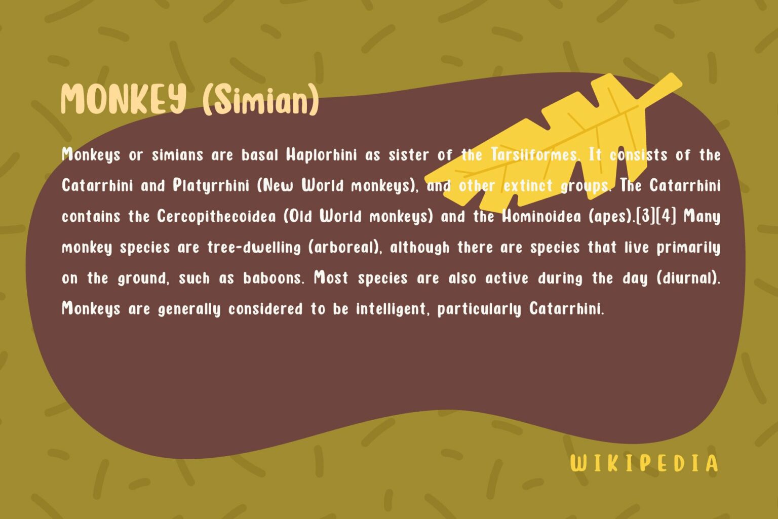 Monkey Font – MasterBundles